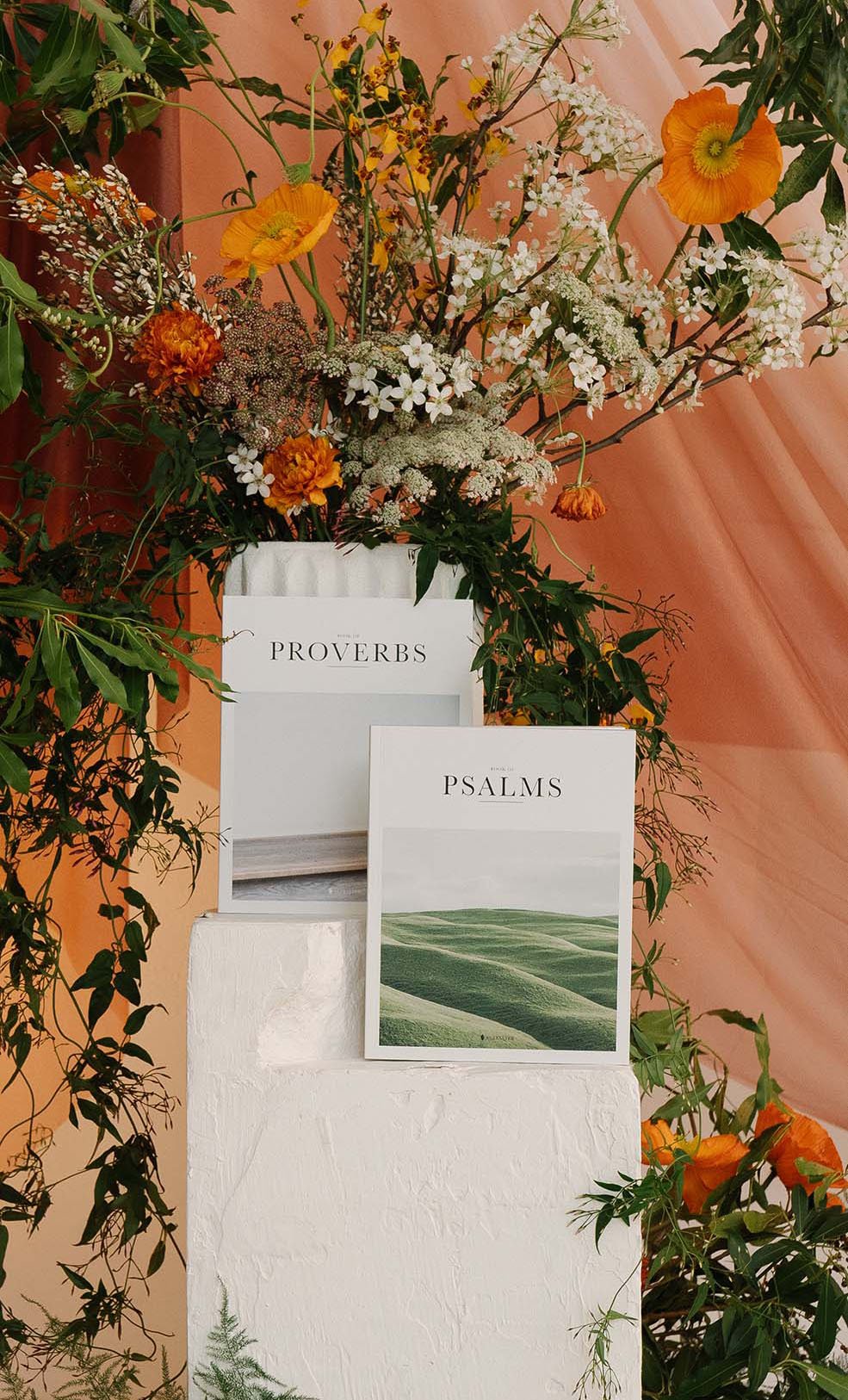 Alabaster Achieved 135% Growth on TikTok Shop — Here’s Their Strategy